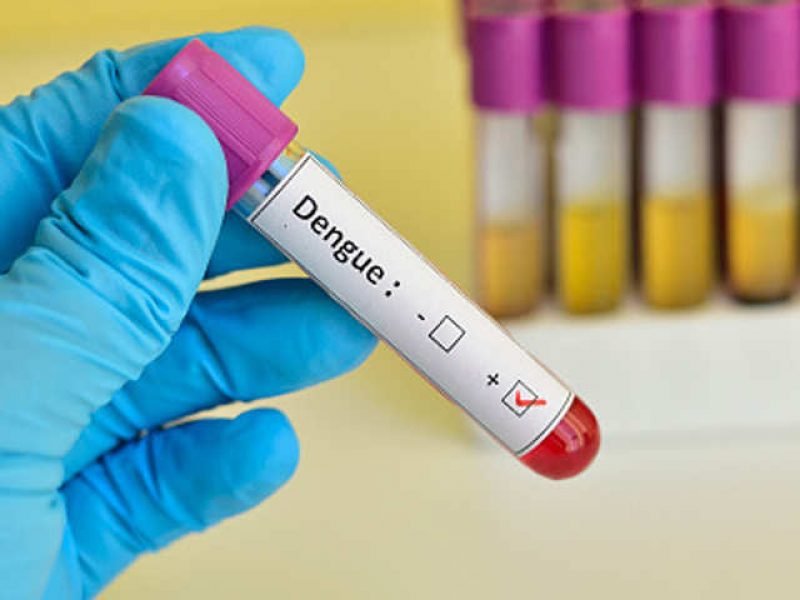 Dengue Test – MedKare